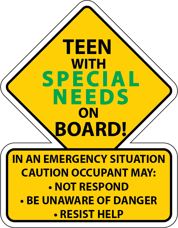 SPECIAL NEEDS Safety Car Truck Decal Sticker – Autism Awareness America